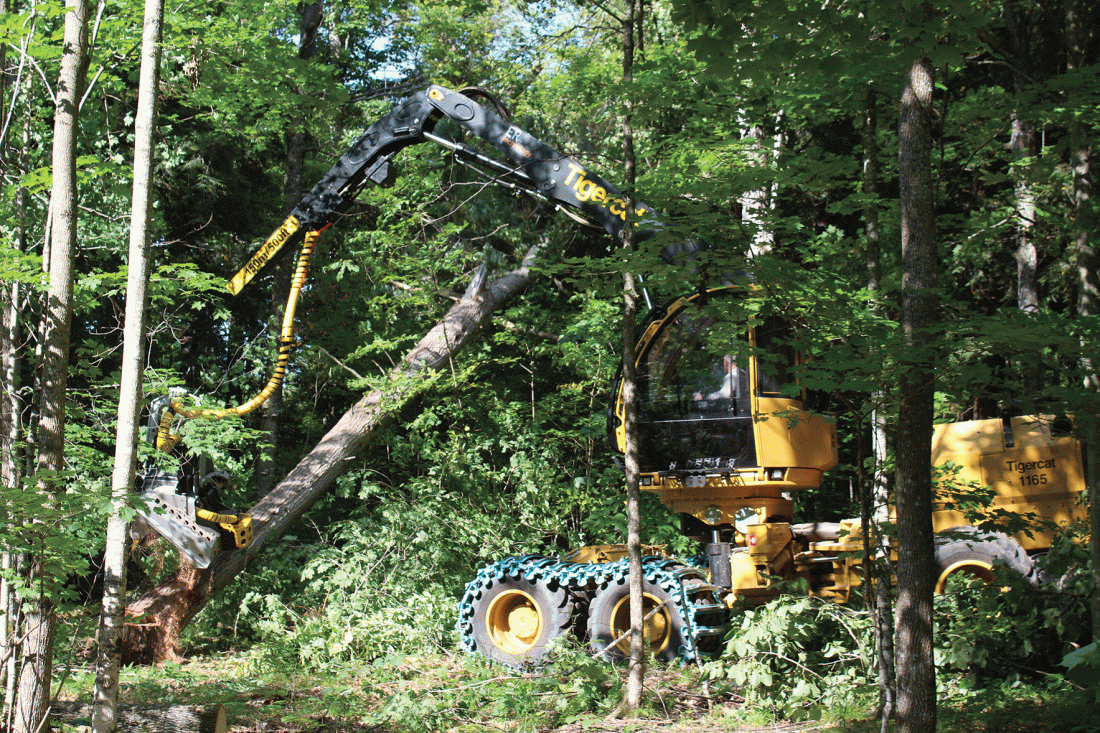 Data shows impact of forest industry | News, Sports, Jobs - The Mining ...